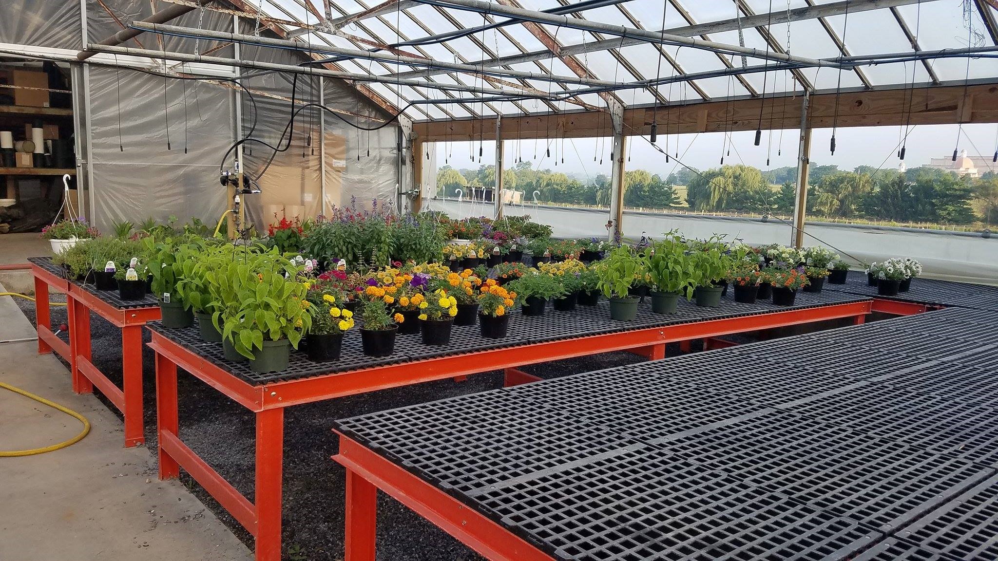 Advanced Benching Solutions – Greenhouse Benching Tables